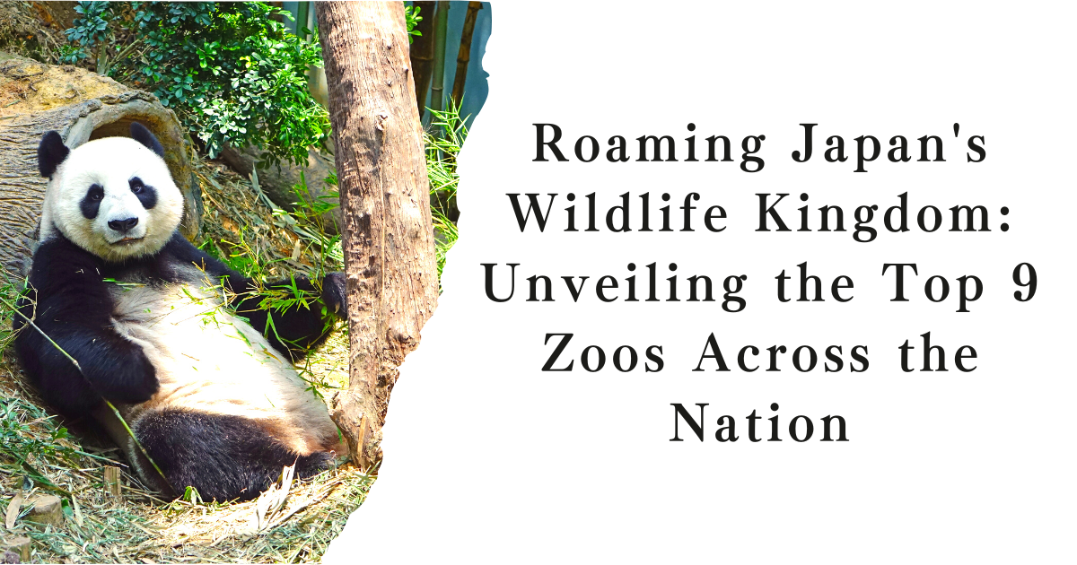 Roaming Japan’s Wildlife Kingdom: Unveiling the Top 9 Zoos Across the ...