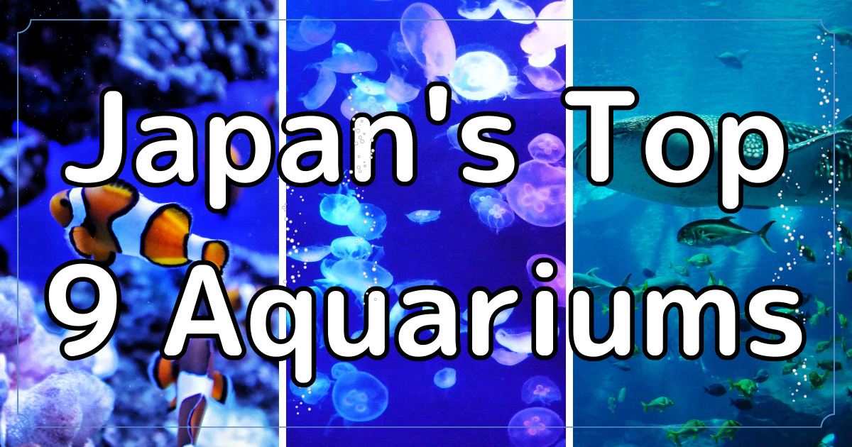 Explore Japan’s Top 9 Aquariums Unveiling Marine Marvels | JAPAN ...